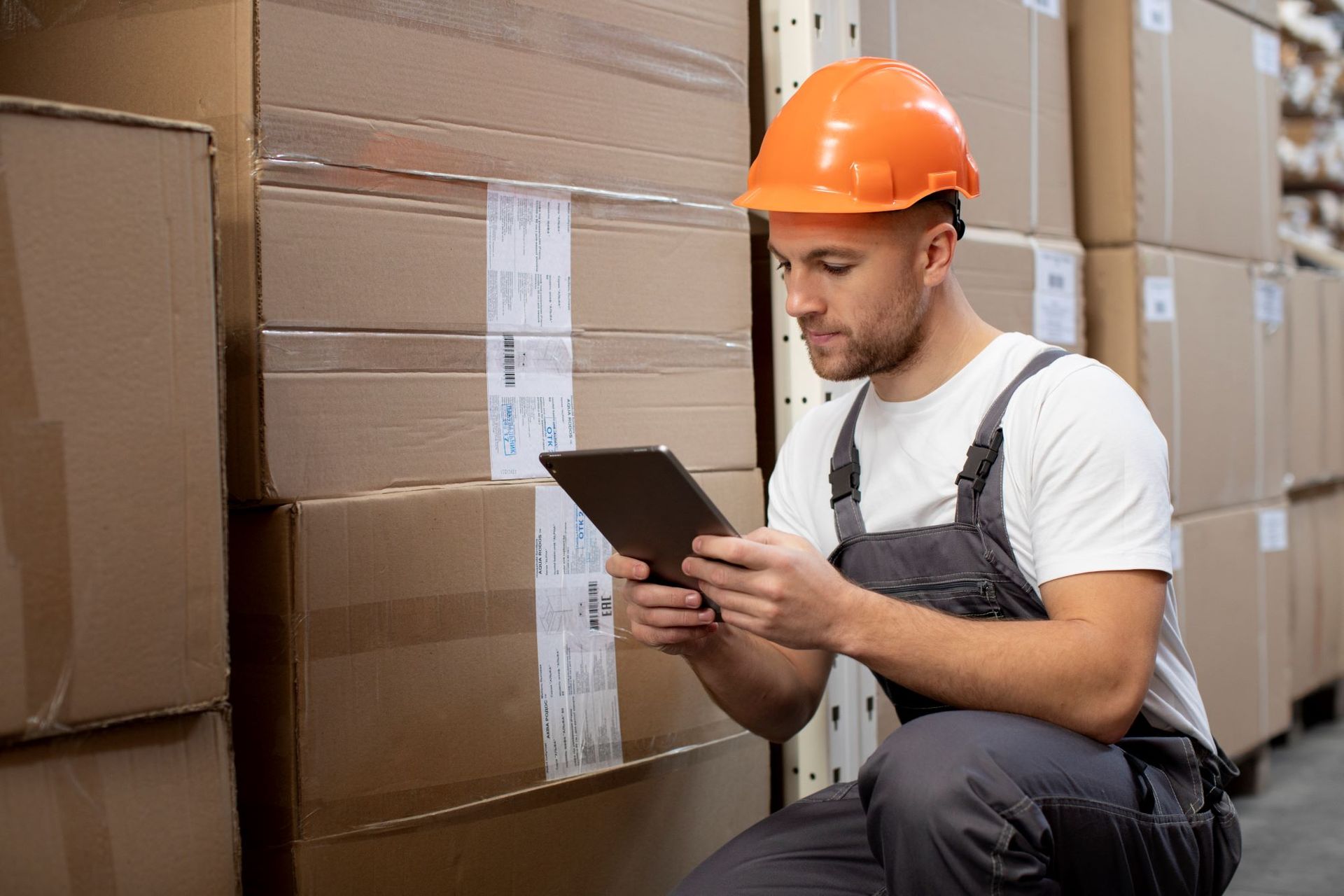 Warehouse Access Management | iLines Solutions
